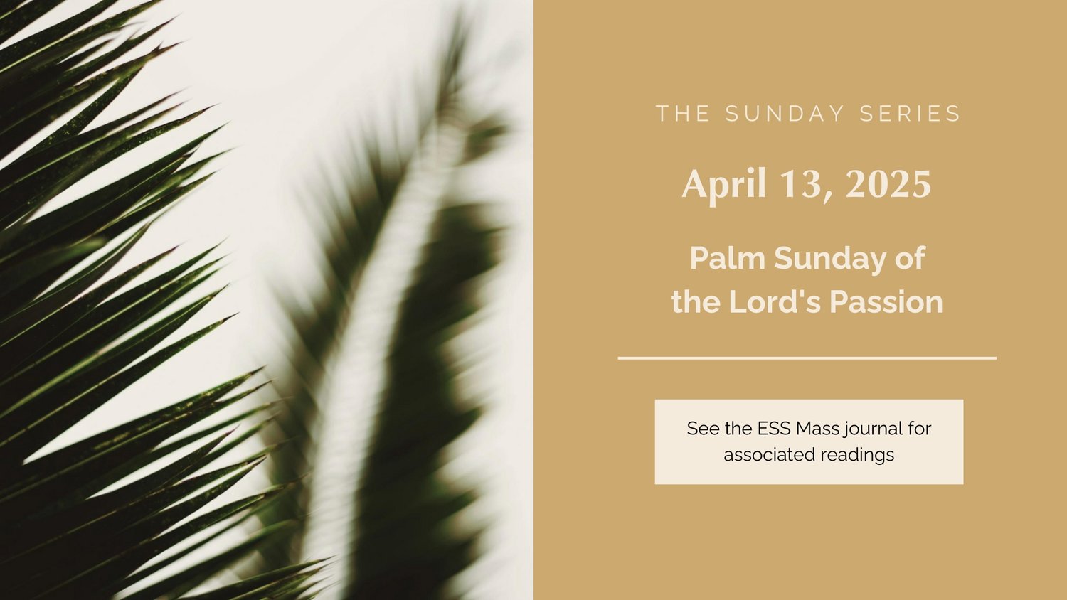 April 13, 2025: Palm Sunday of the Lord's Passion – Every Sacred Sunday