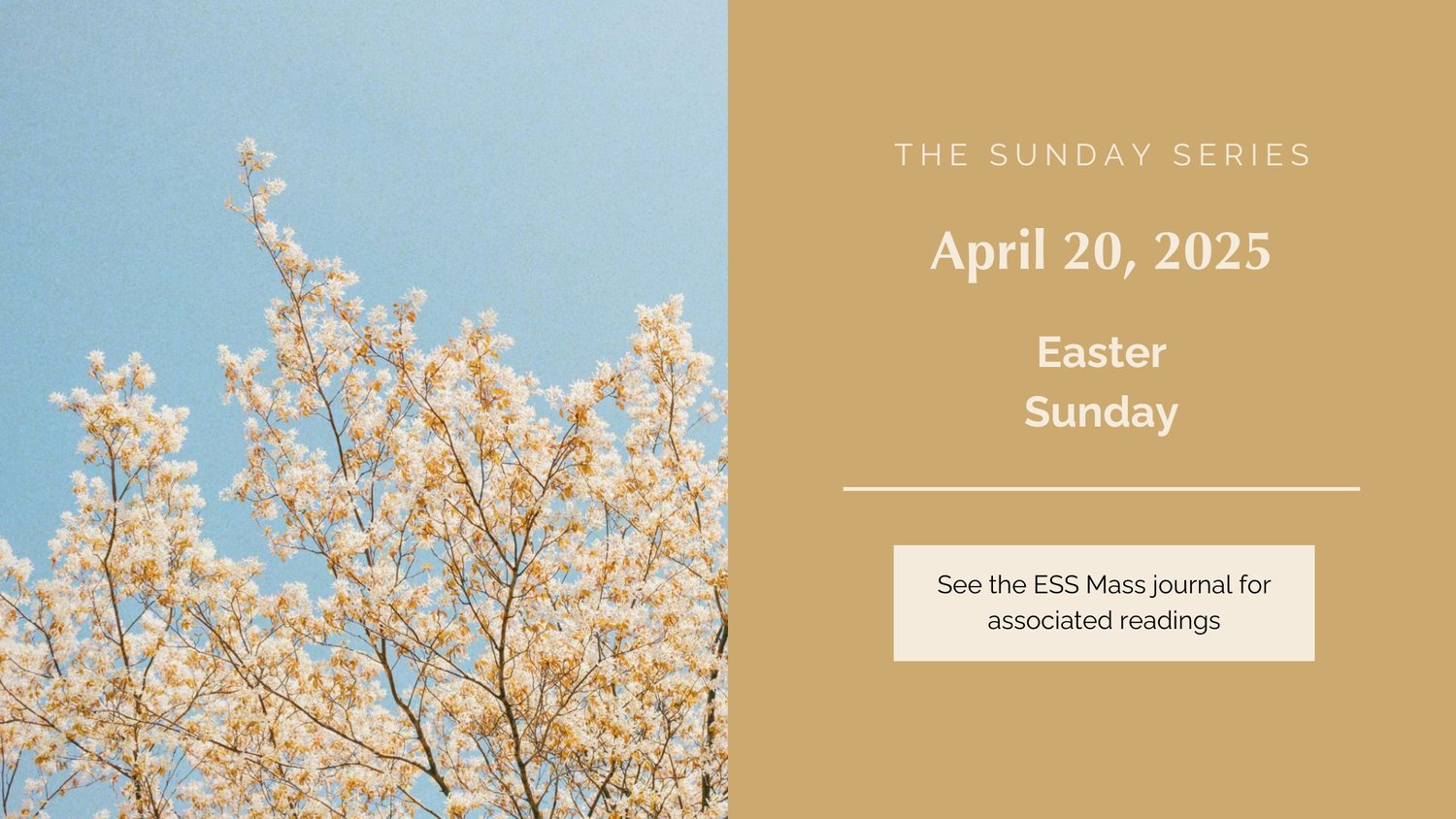 April 20, 2025: Easter Sunday – Every Sacred Sunday