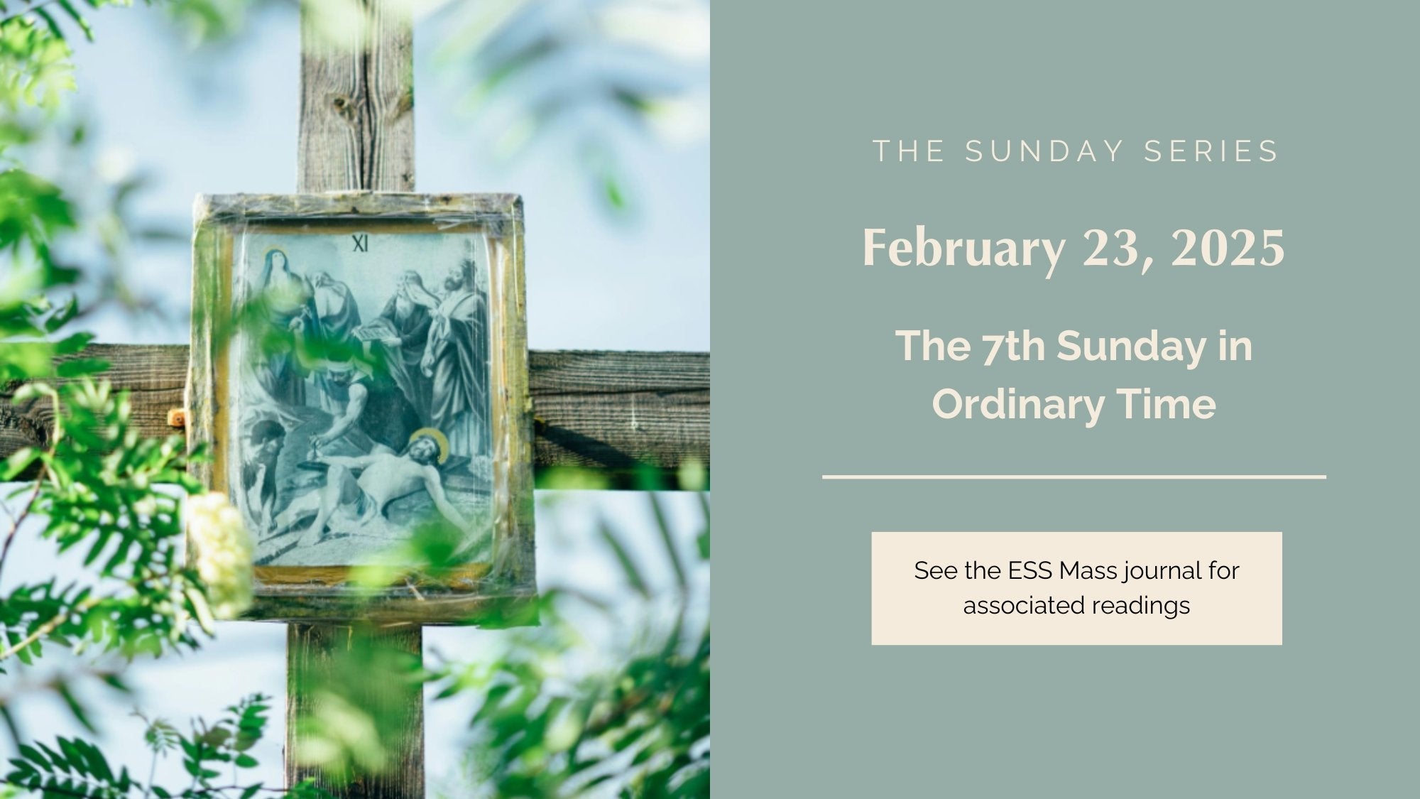 February 23, 2025: Seventh Sunday in Ordinary Time – Every Sacred Sunday