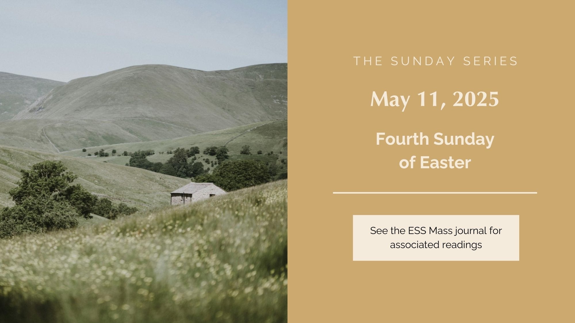 May 11, 2025: Fourth Sunday of Easter – Every Sacred Sunday